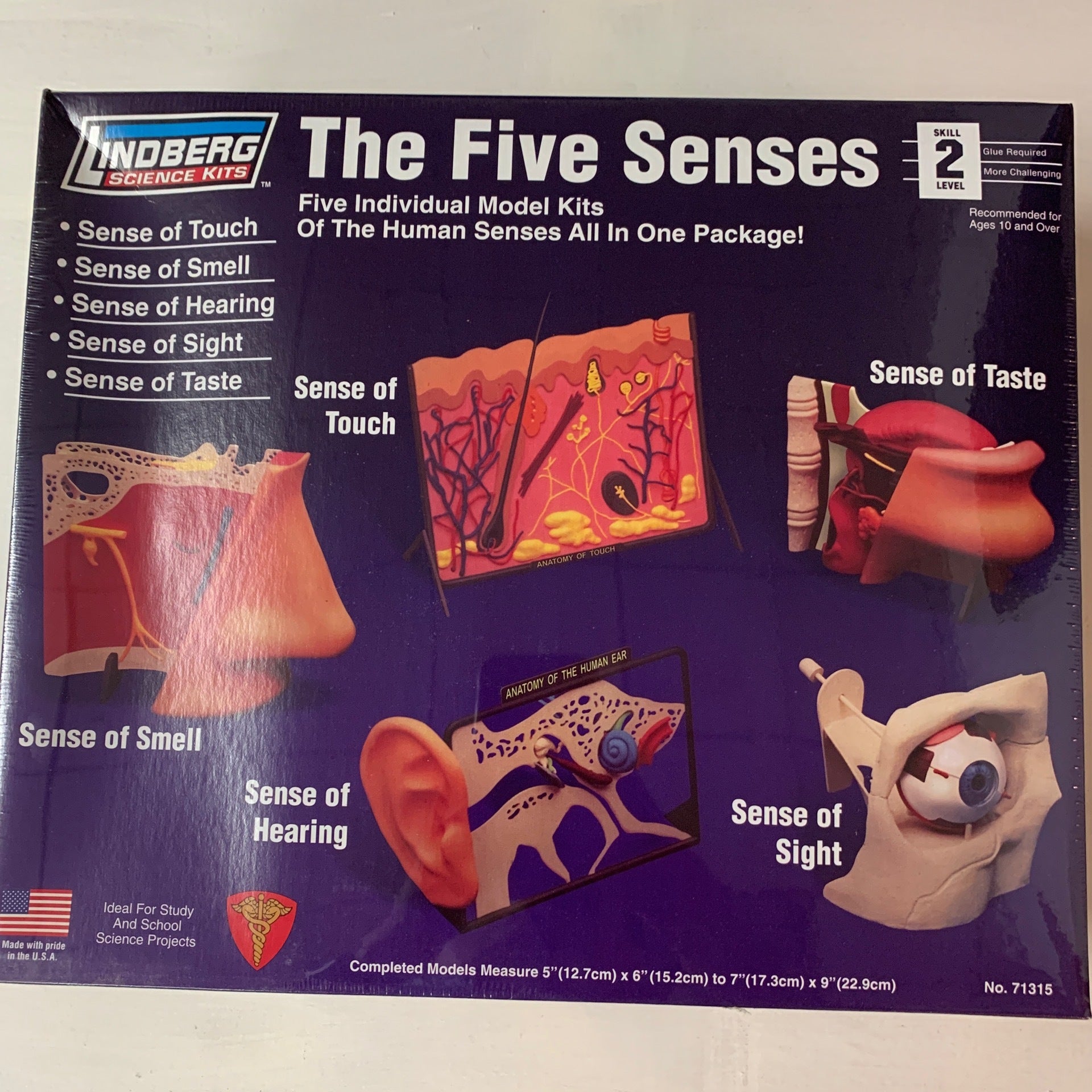 Lindberg The Five Senses Science Model Kit 71315 | Frontline Model Kits ...