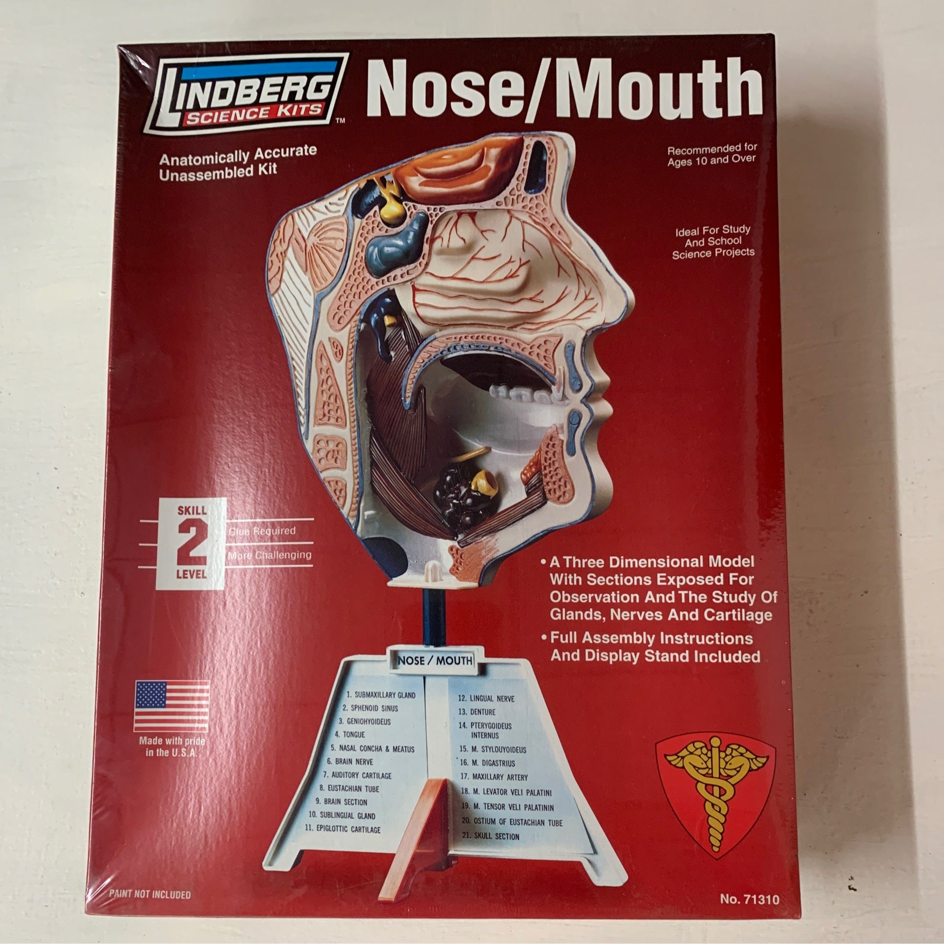 Lindberg Nose/Mouth science model kit 71310 | Frontline Model Kits ...