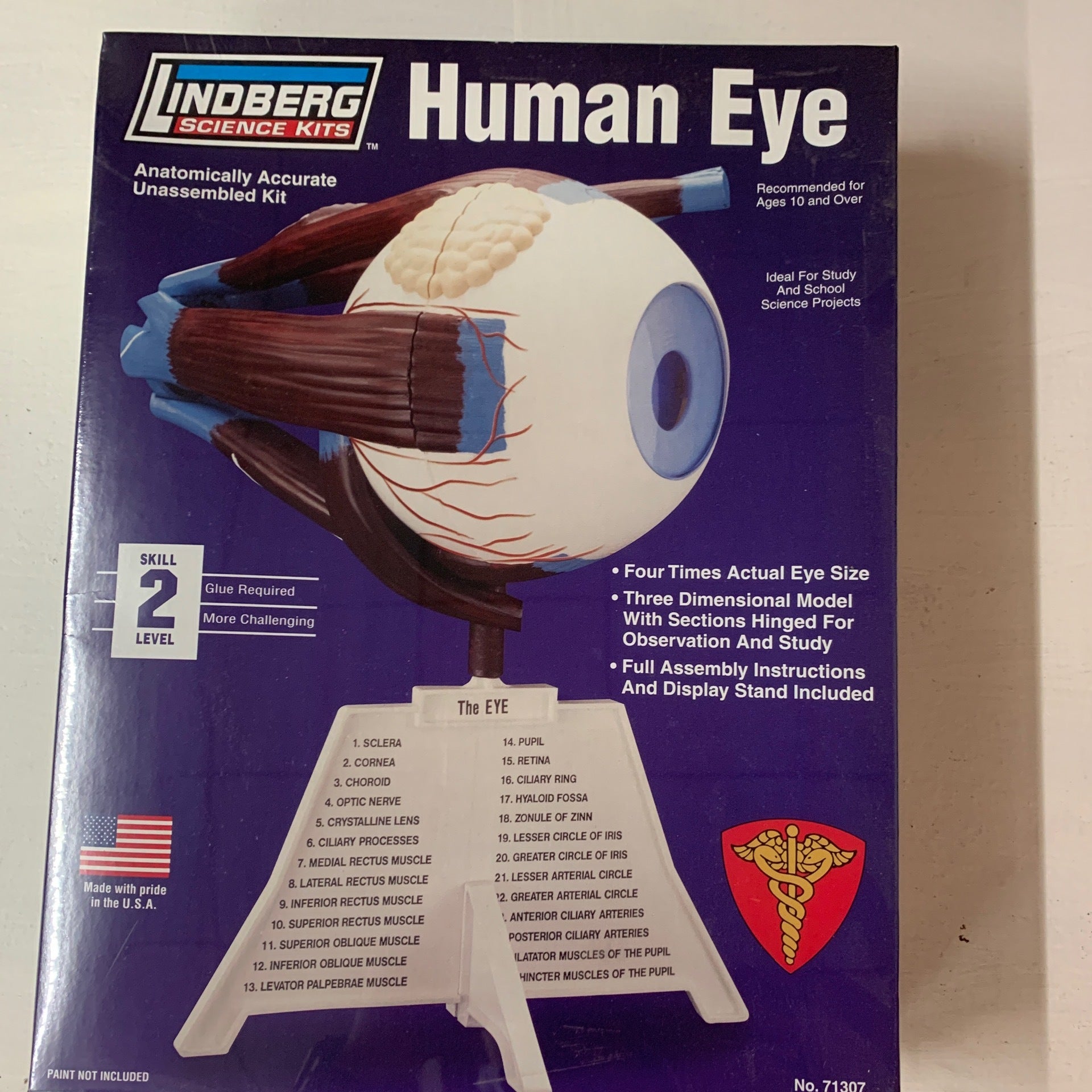 Lindberg Human Eye science model kit 71307 | Frontline Model Kits & Hobbies